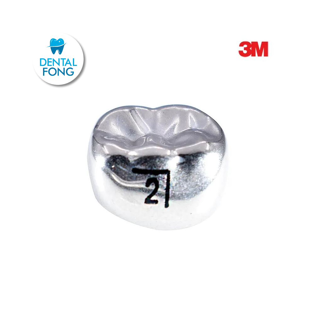 6LR2 MOLAR INFERIOR DERECHO PERMANENTE – Depósito Dental Fong - Beethoven